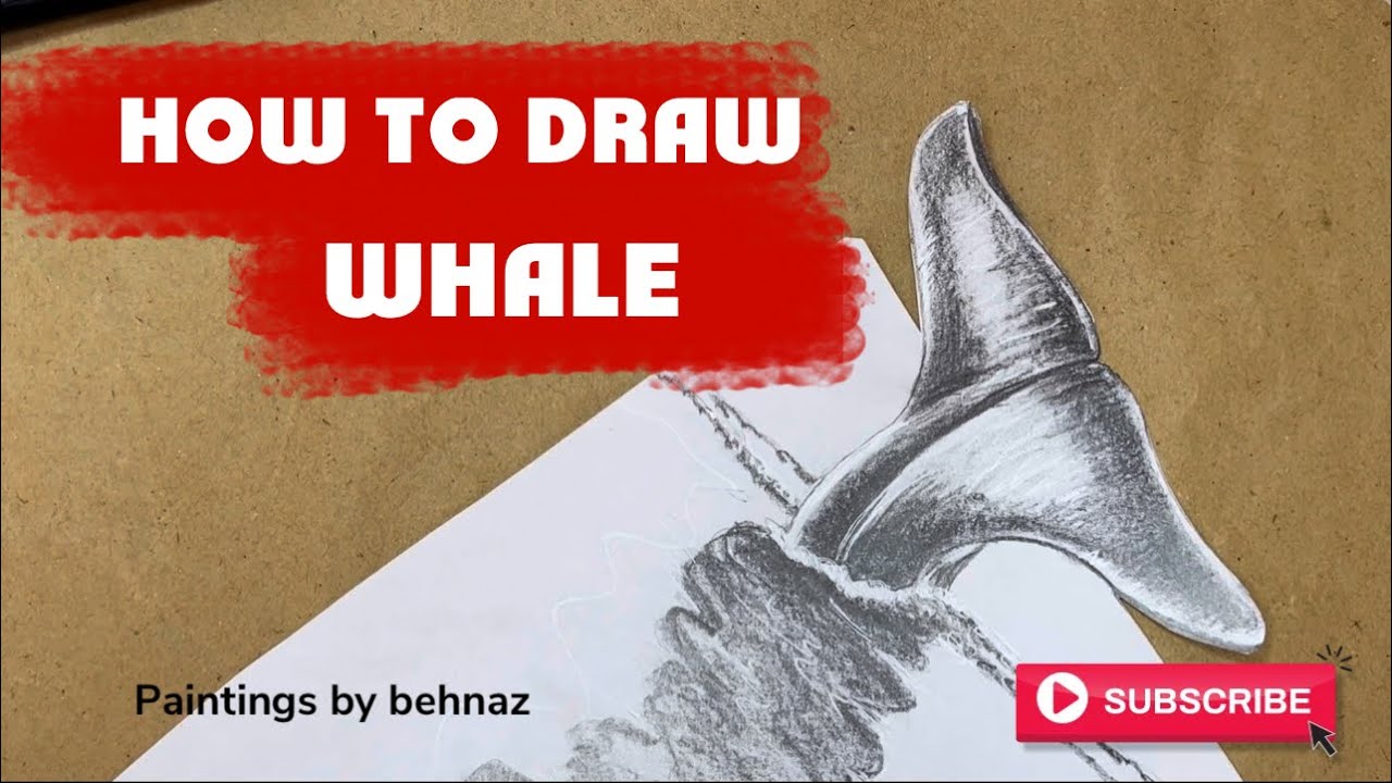 how to draw a Whale/comment dessiner une baleine/Wie zeichnet man einen ...