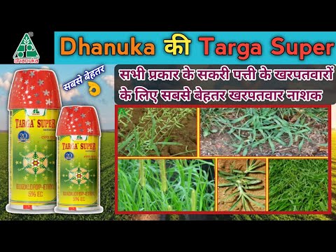 targa super herbicide | Dhanuka | Quizalofop Ethyl 5% EC | संपूर्ण जानकारी हिंदी में |
