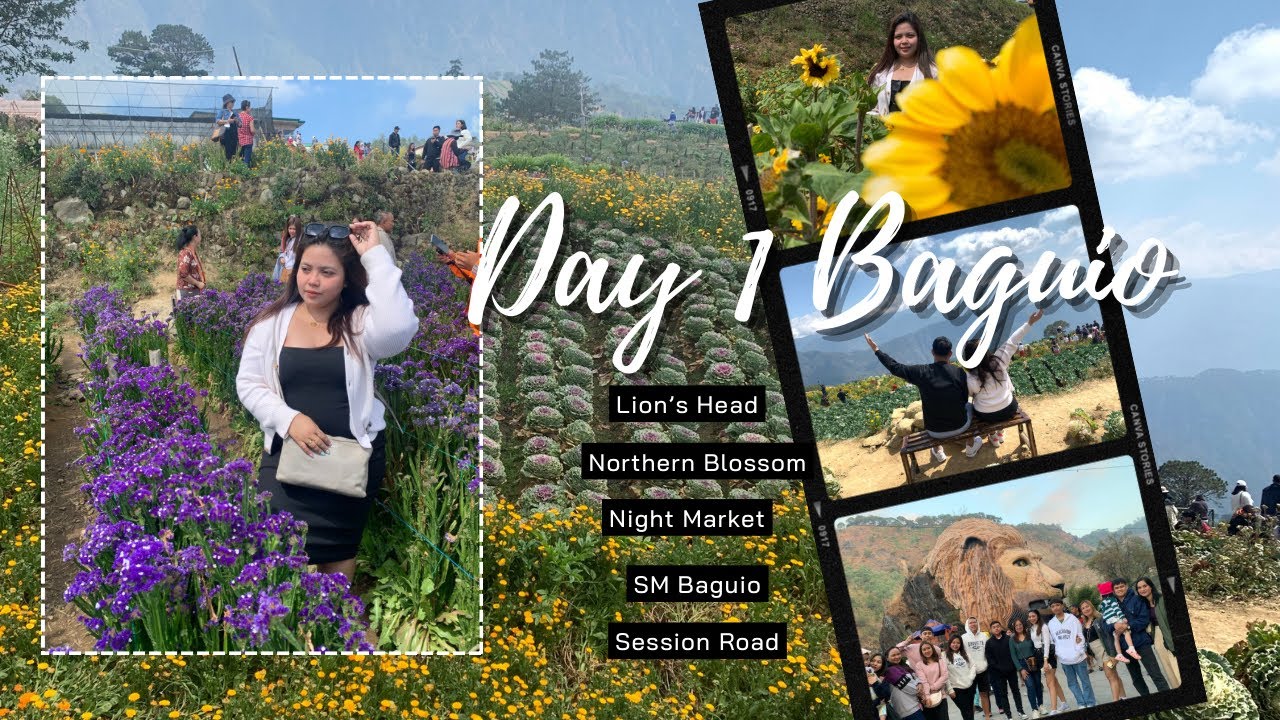 Vlog#53 | Day 1 | Baguio | Lion’s Head | Northern Blossom | Night ...