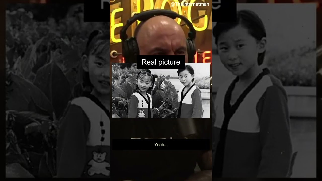 Yeonmi Park on escaping North Korea on the Joe Rogan Podcast #Shorts # ...