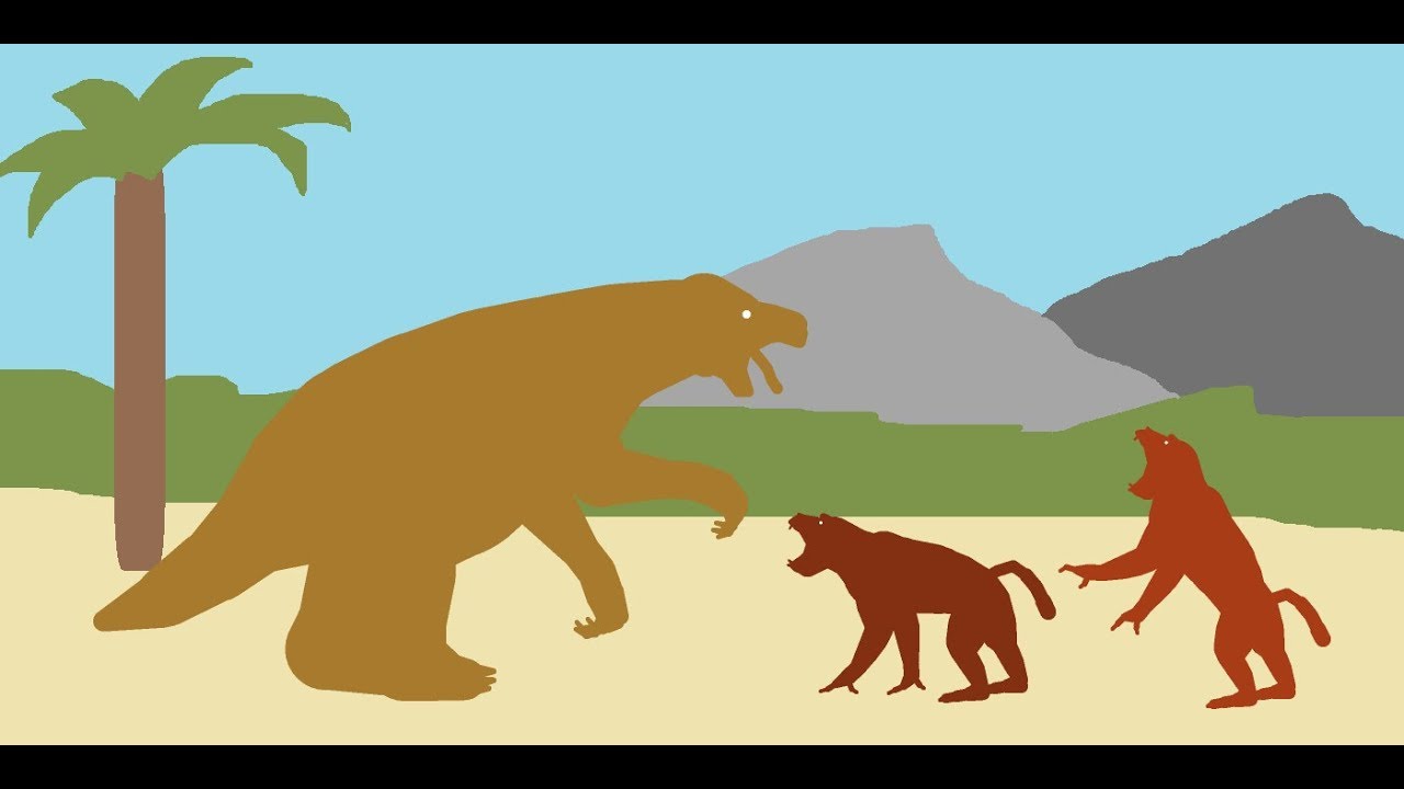 Megatherium Vs Dinopithecus - YouTube
