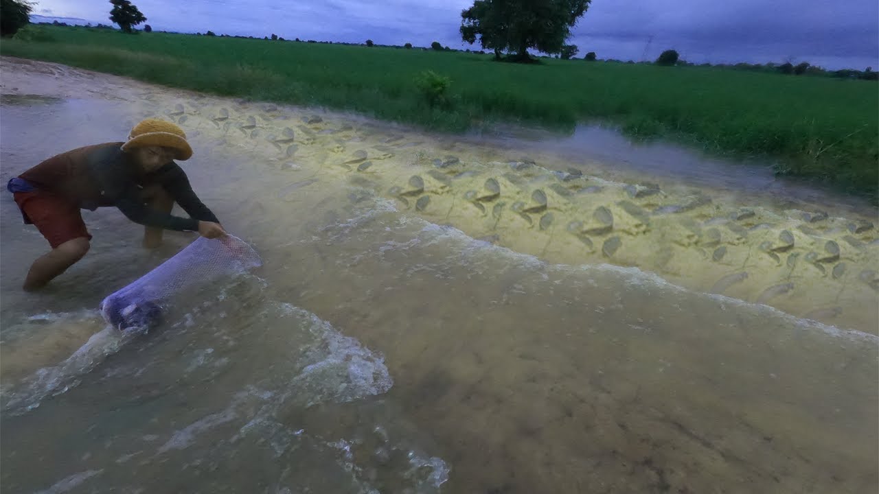 Amazing Flood Fishing 2020! Technique Fishing When Water Cross On The ...