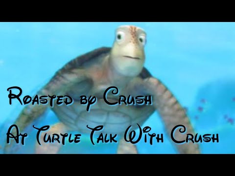 Roasted By Crush At Turtle Talk With Crush - YouTube