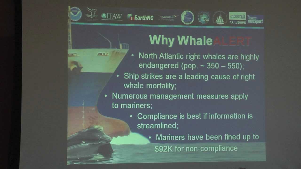 Whale ALERT iPad and iPhone App Demonstration - YouTube