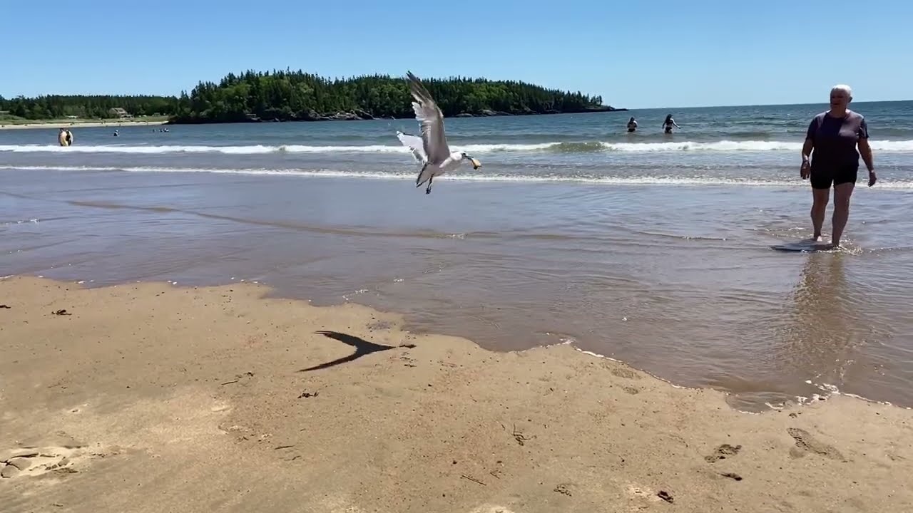 Gentle Waves, Sandy Beach, New River Beach, New Brunswick, Canada - YouTube