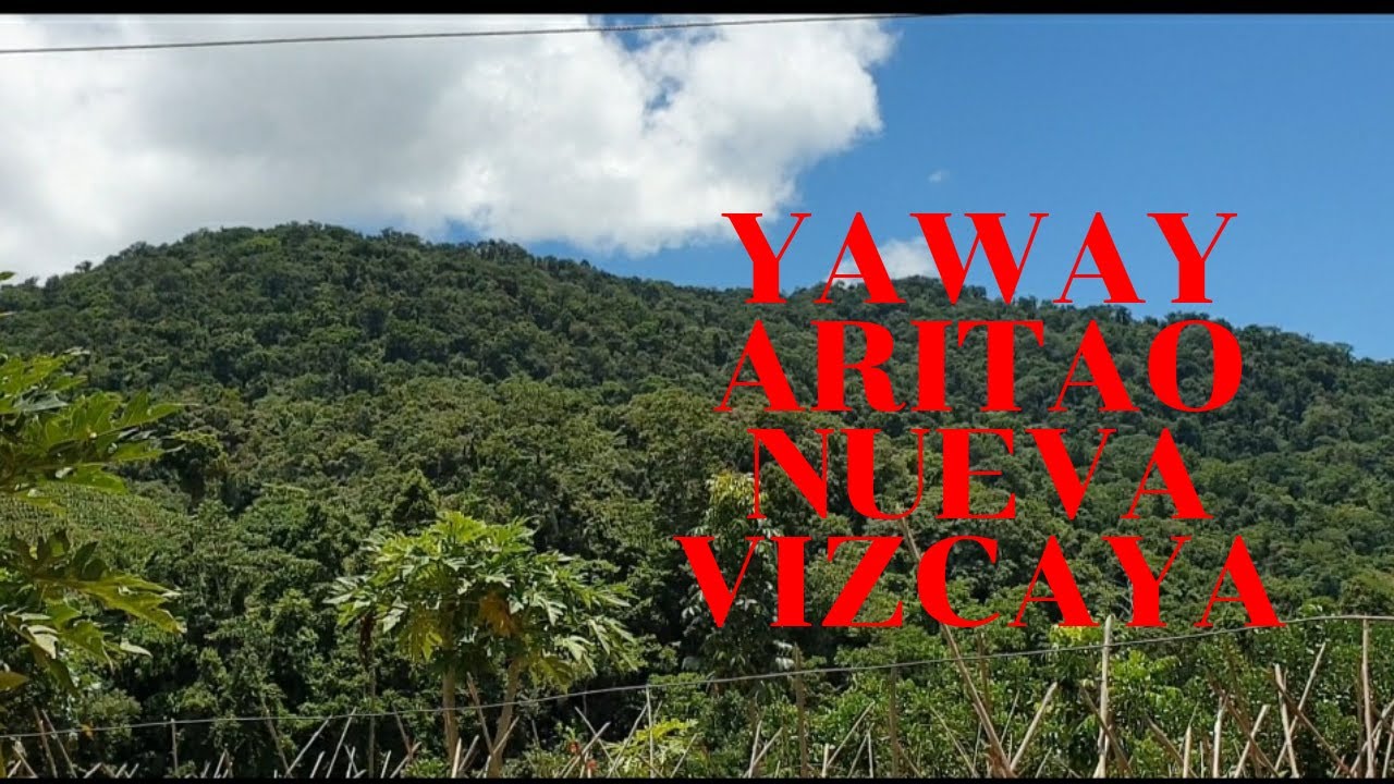 THE BEAUTIFUL MOUNTAIN OF YAWAY ARITAO NUEVA VIZCAYA - YouTube