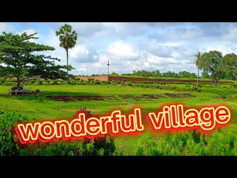 wonderful village গ্রাম গঞ্জের অসাধারণ একটি ভিডিও ফুটেজ ছড়িয়ে পড়েছে ...