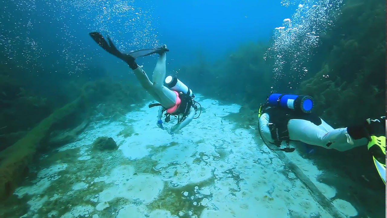 Sea Druid - Intro - YouTube