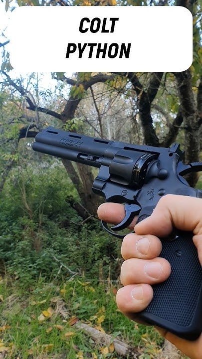 bartoli358 & Colt Python - YouTube