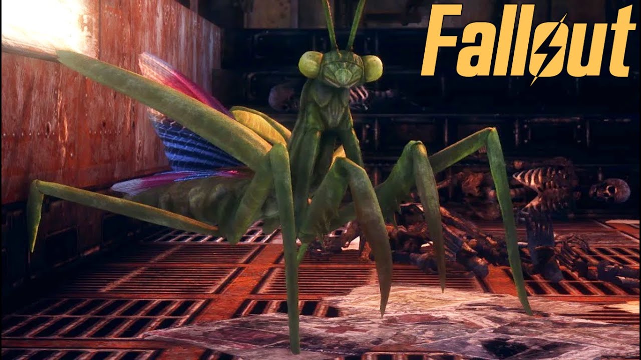 You Can Incubate Mantis Eggs in Fallout New Vegas - YouTube