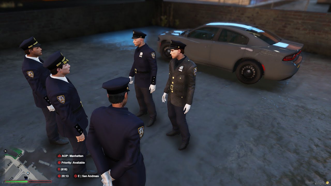 NYPD RP | Field Training Officer - YouTube