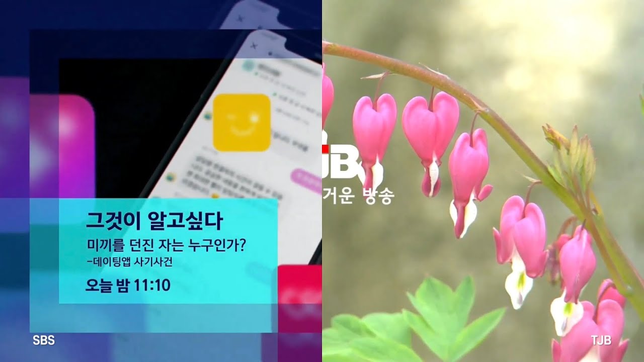 SBS와 TJB 화면을 동시재생 해보았다 (2022.04.09) - YouTube