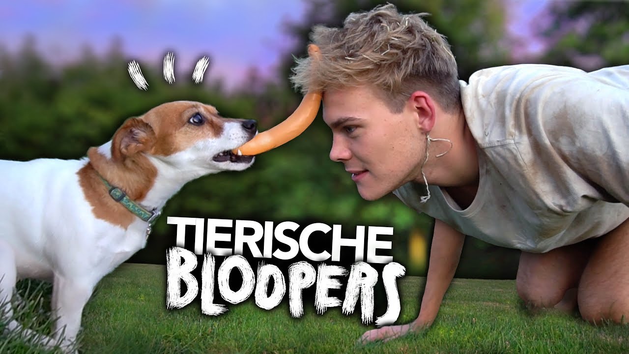 DIE TIERISCHSTEN BLOOPERS | Joey's Jungle - YouTube
