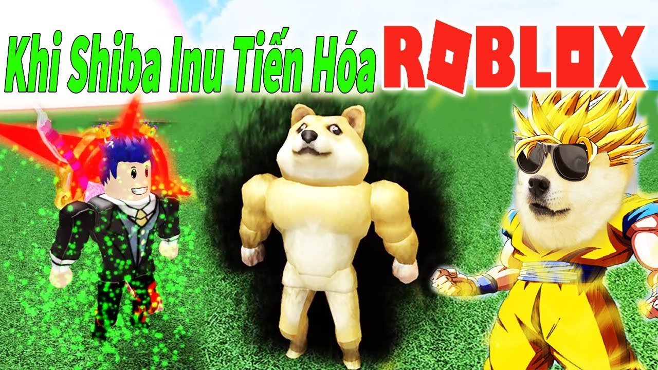 Roblox - Chiến Binh Shiba SSJ DOGE Và Sức Mạnh Thần Magnificent ...