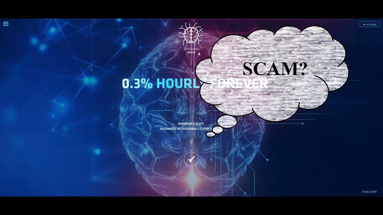 Bitcoins Brain - ACHTUNG SCAM! - YouTube