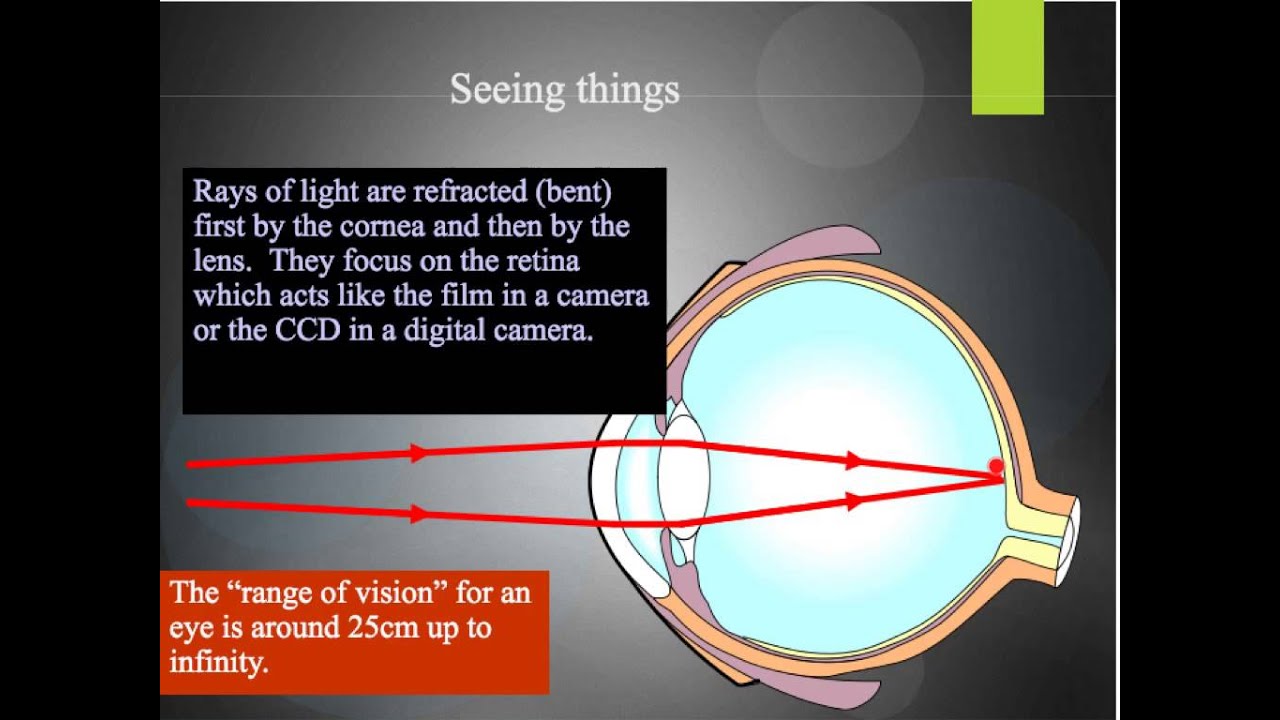 P3.2 The Eye and Sight Problems - YouTube