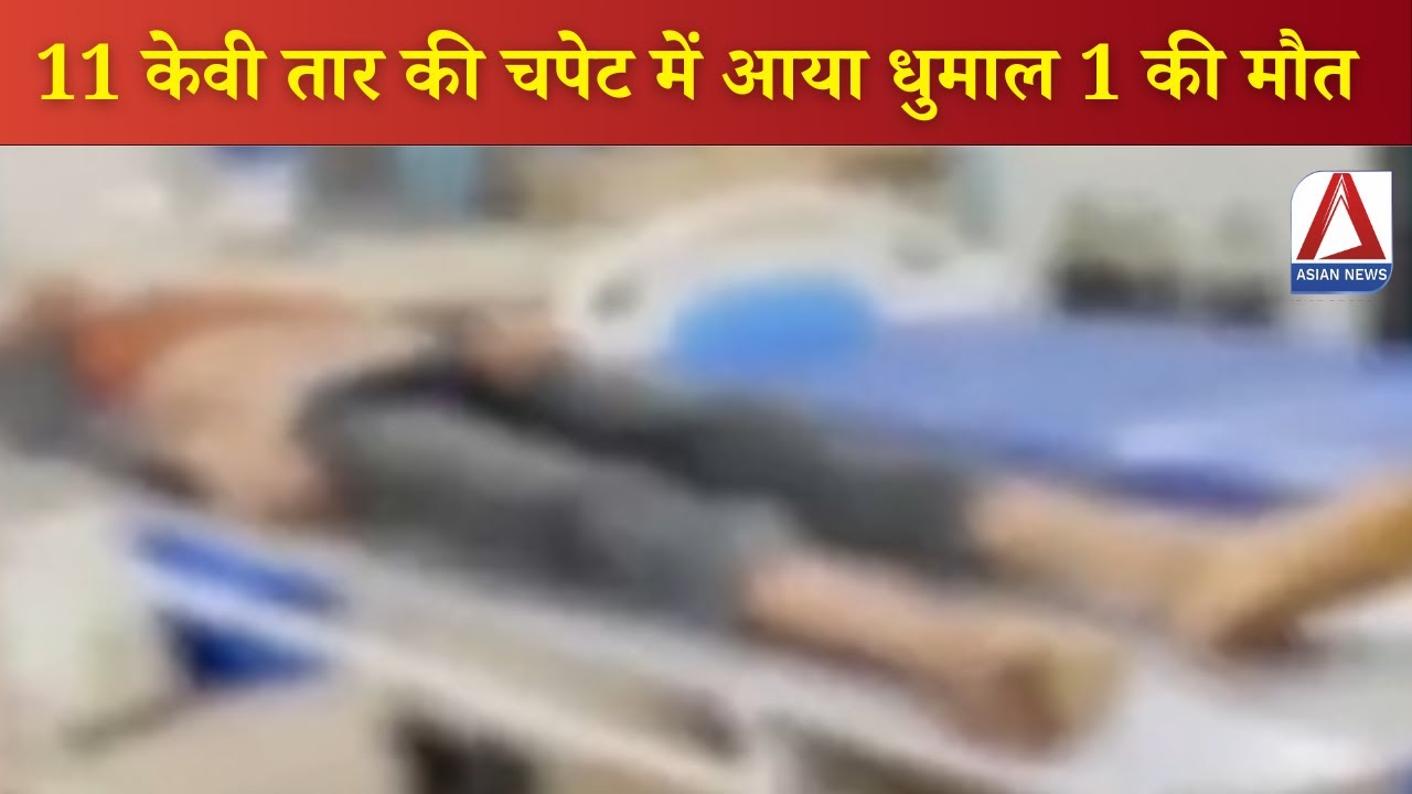 CG Breaking : 11 केवी तार की चपेट में आया धुमाल, 1 की मौत | 11 kV Wire - YouTube