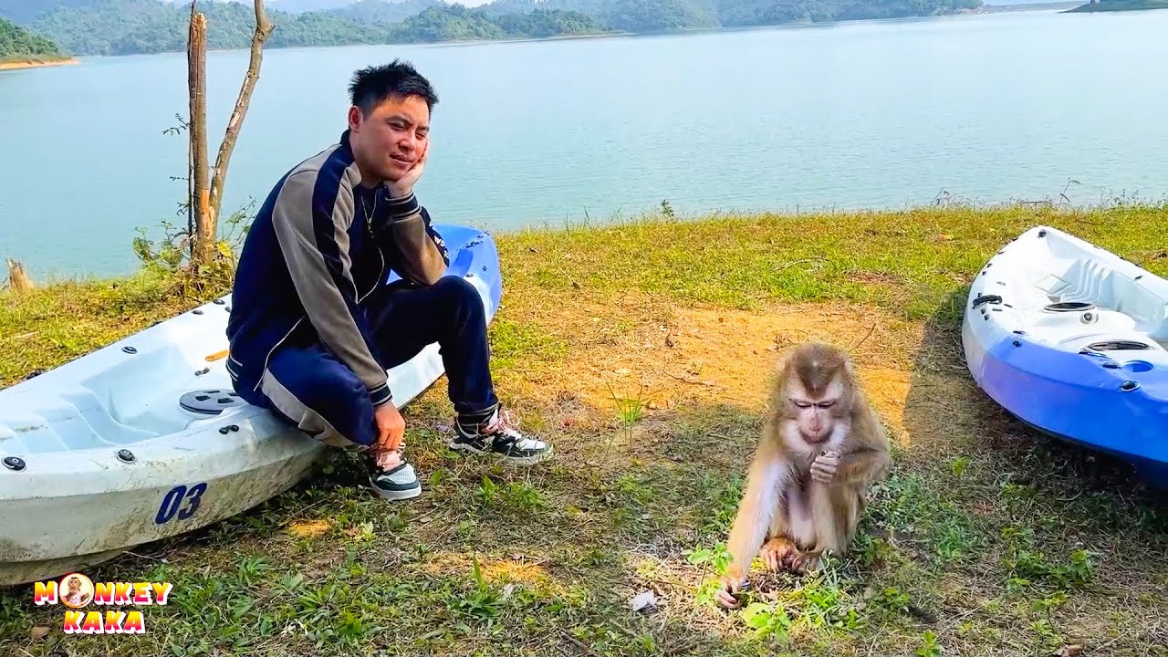 Monkey Kaka and Dad's Heartwarming Moments That Will Melt Your Heart ...