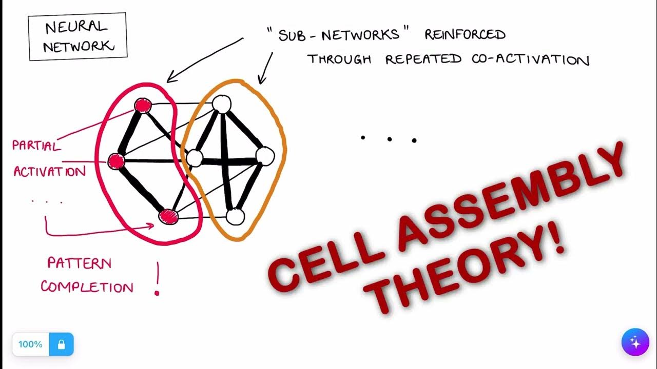 Neuro learning mechanisms - Hebb cell assembly theory - YouTube