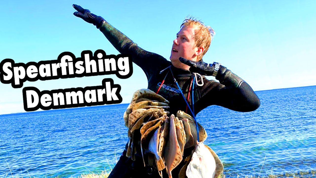 Spearfishing Denmark - Langeland and Als - Flat fish paradise - YouTube