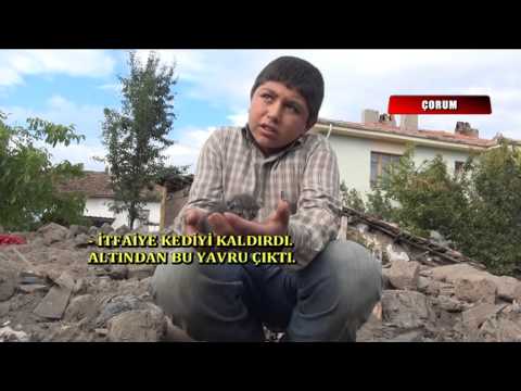 Evi yandı ama o ölen kedisine ağladı.