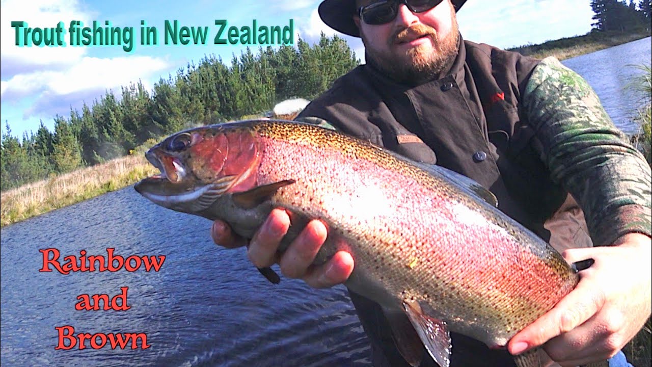 Trout Fishing for Brown & Rainbow in Rangitaiki River in NZ Ep 148 ...