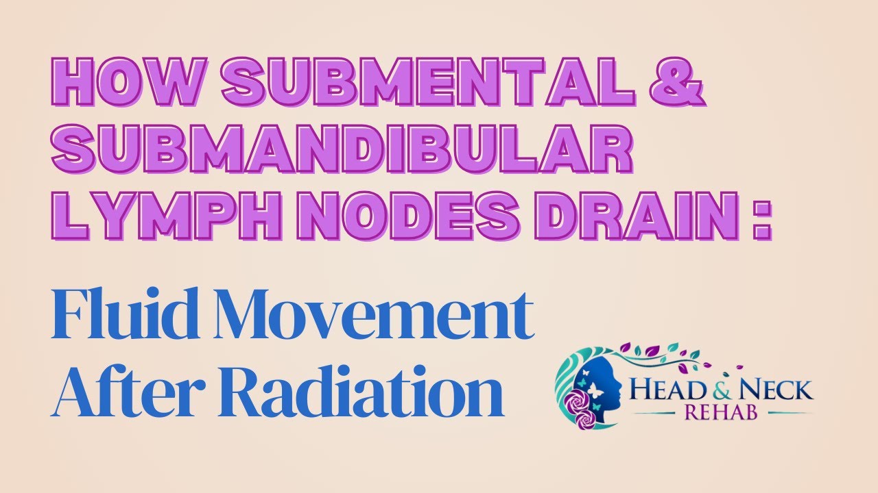 How Submental & Submandibular Lymph Nodes Drain: Fluid Movement After ...