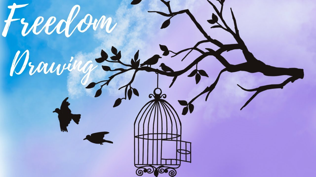 How to draw birds that got freedom from the cage - step by step ...