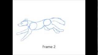 Wolf Run Cycle Frames