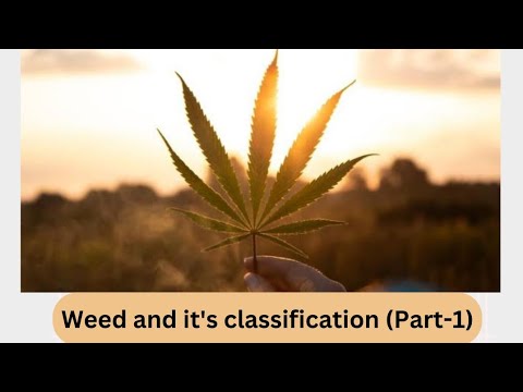 Weed | Different Classification of Weeds (Part-1) | HAU BSC AGRI 6 YEAR ...