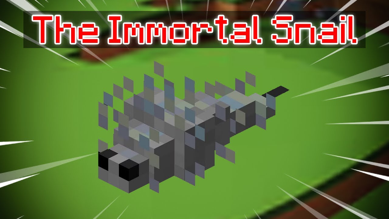 🐌I PUT THE IMMORTAL SNAIL IN MINECRAFT 🐌 - YouTube