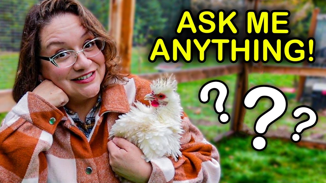 Your Backyard Chicken Questions Answered by a REAL Educator - YouTube