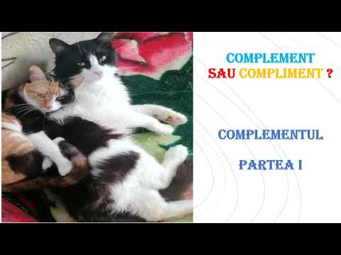 LECȚIA DE GRAMATICĂ: COMPLEMENTUL - Partea I - YouTube