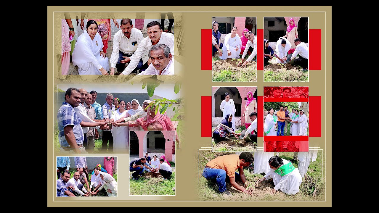 Assandh & Uttrakhand Got First Prize in Mt. Abu on Project "Green India ...