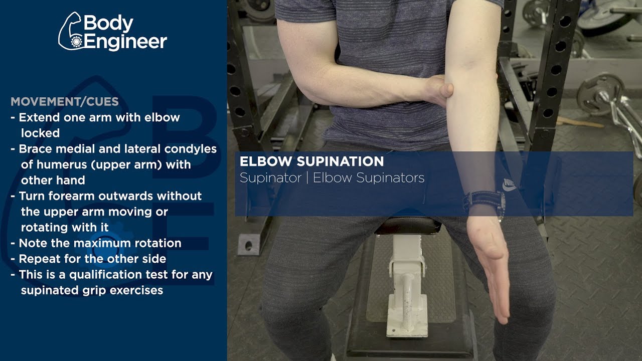 Elbow Supination - YouTube