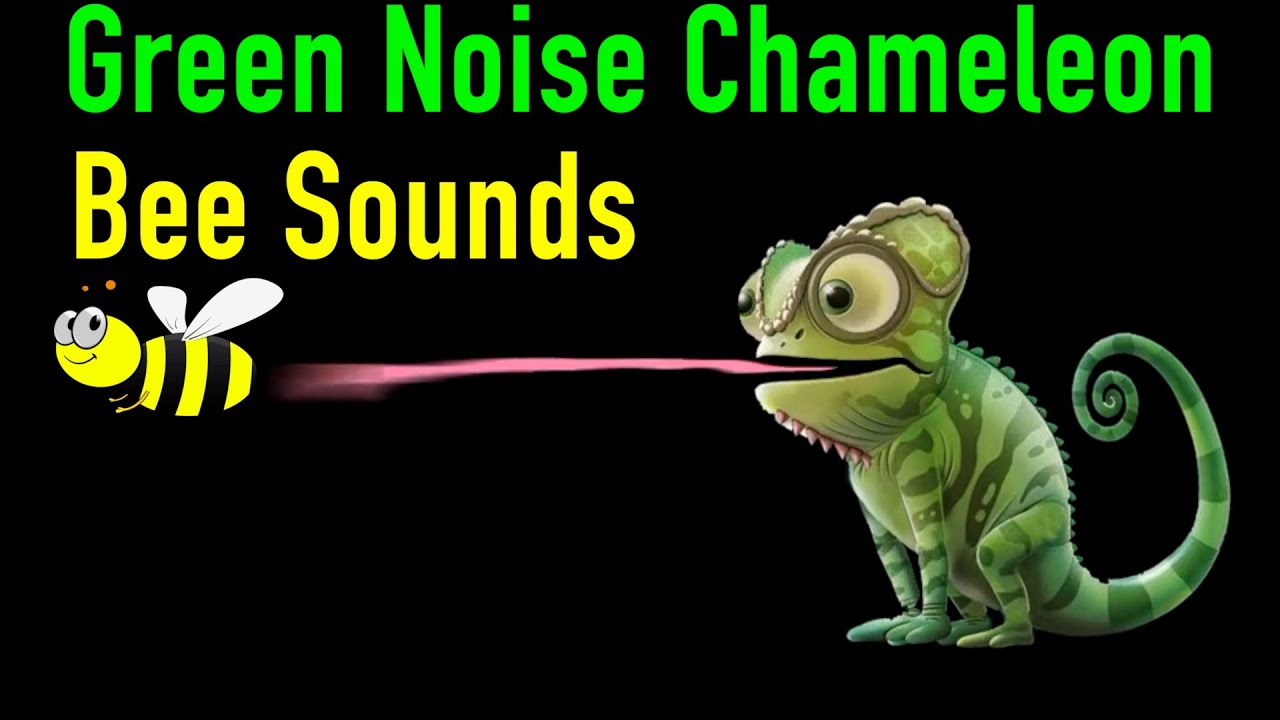 Green Noise Chameleon and Brain Buzzing Bee Sounds for Sleep, Better ...