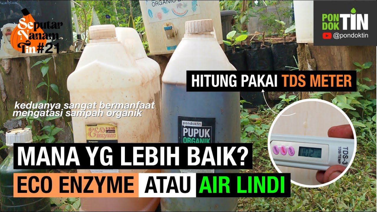 MANA YANG LEBIH BAGUS ANTARA ECO ENZYME ATAU PUPUK ORGANIK CAIR dari ...