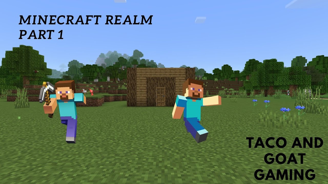Minecraft Realm | Part 1 - YouTube