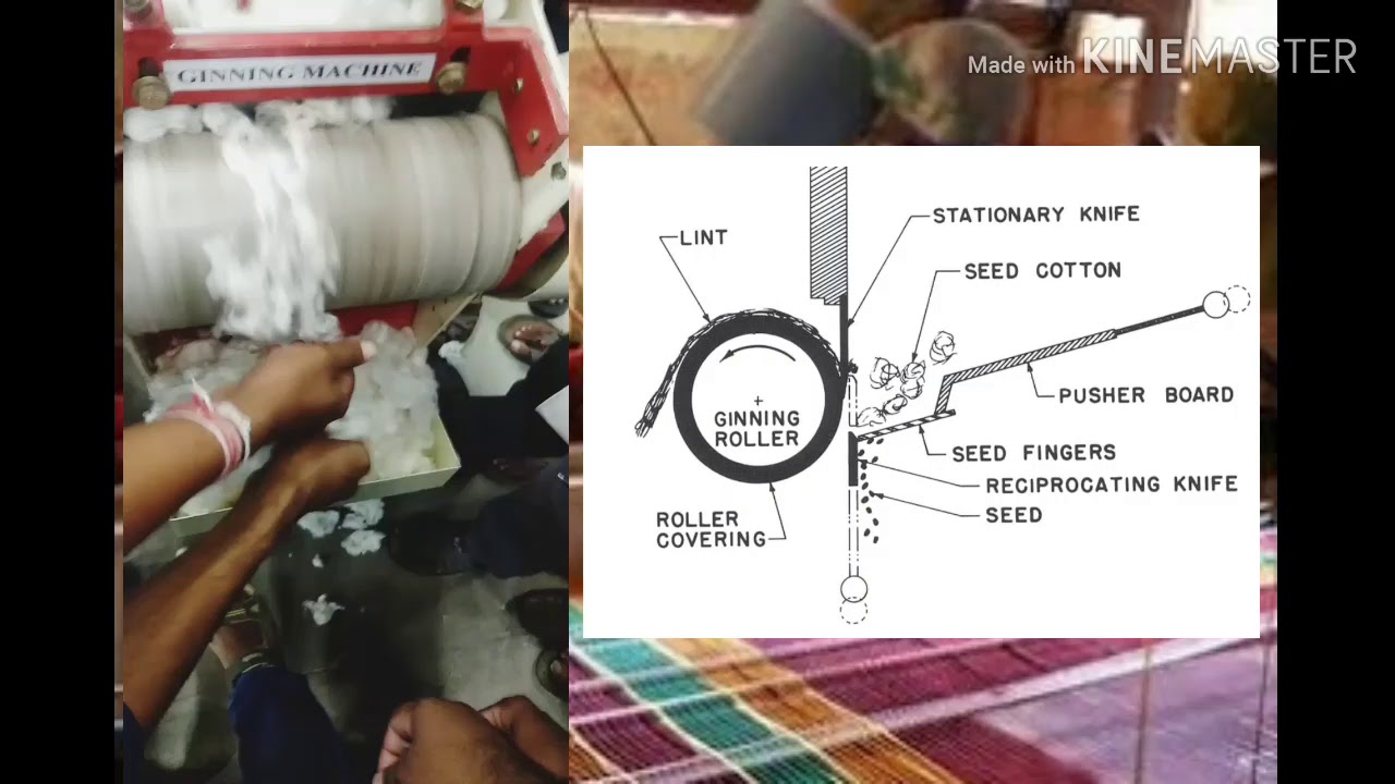 Basic Ginning machine practical and explained | Removal of seed from ...