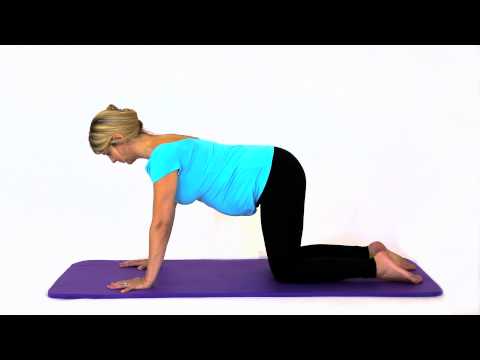 Pregnancy Exercises - Four Point Kneeling Start Position