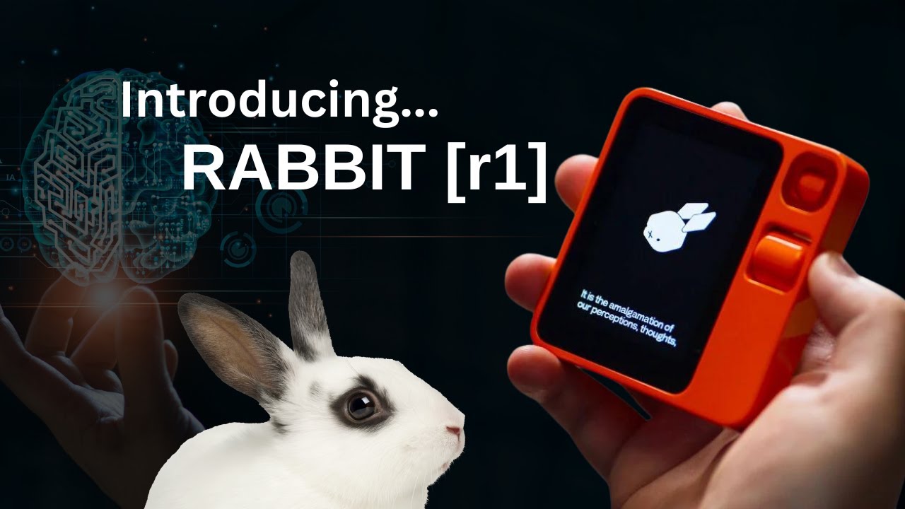 Introducing the Rabbit AI: The Era of Portable and Wearable AI ...