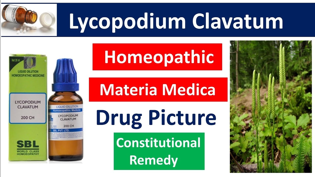 Lycopodium Clavatum Drug Picture | Materia Medica | Homeopathy # ...