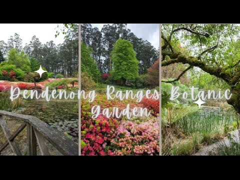 Dandenong Ranges Botanic Garden | Australia | A Garden For All Seasons ...