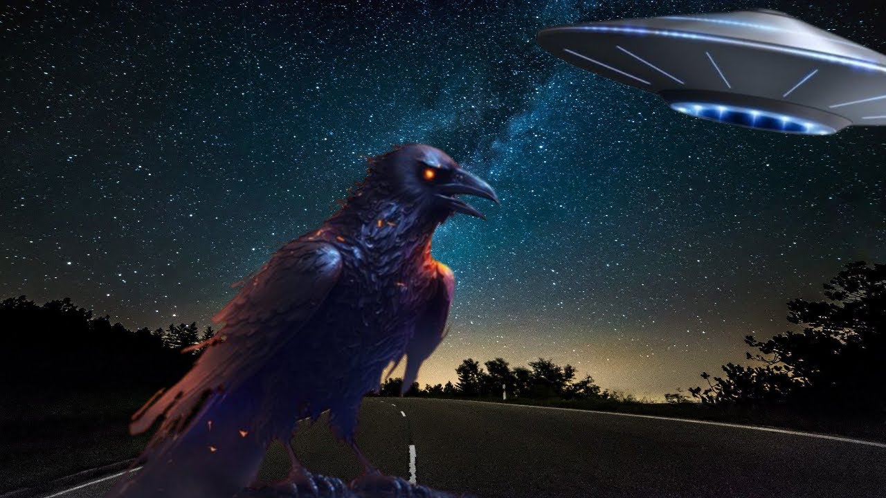 Cryptid Profile: The Bird Beasts of Var - YouTube