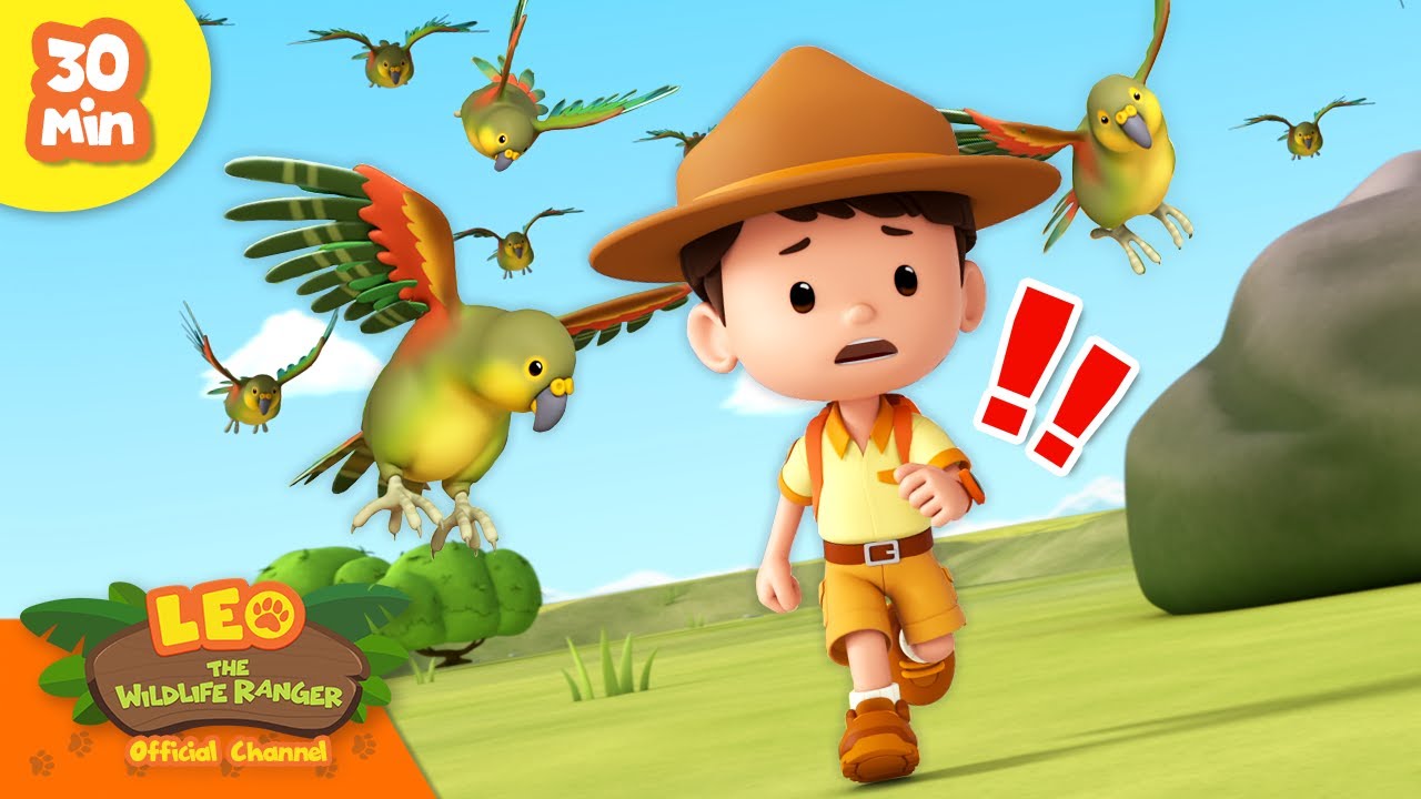 🪶🐦 Feathered Friends! 🦅🕊️ Parrots, Emu & more! | Leo the Wildlife ...