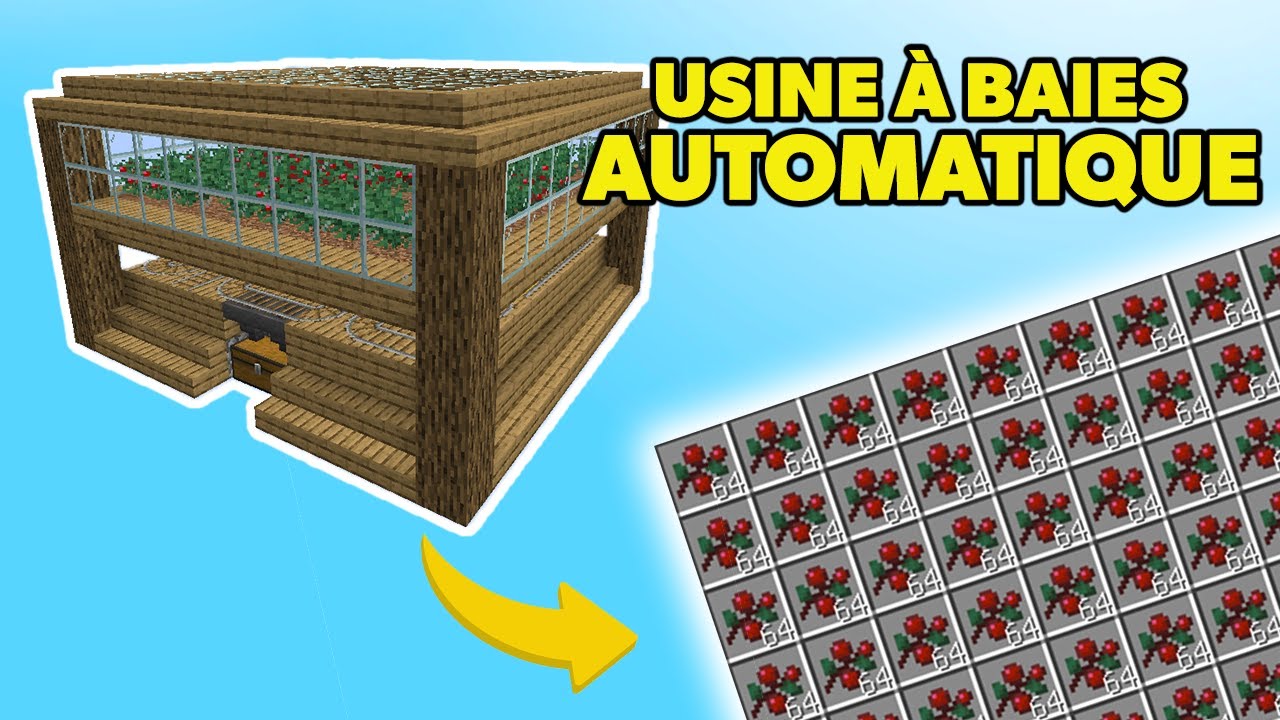 Usine à BAIES 100% automatique sur Minecraft l SUPER FACILE - YouTube