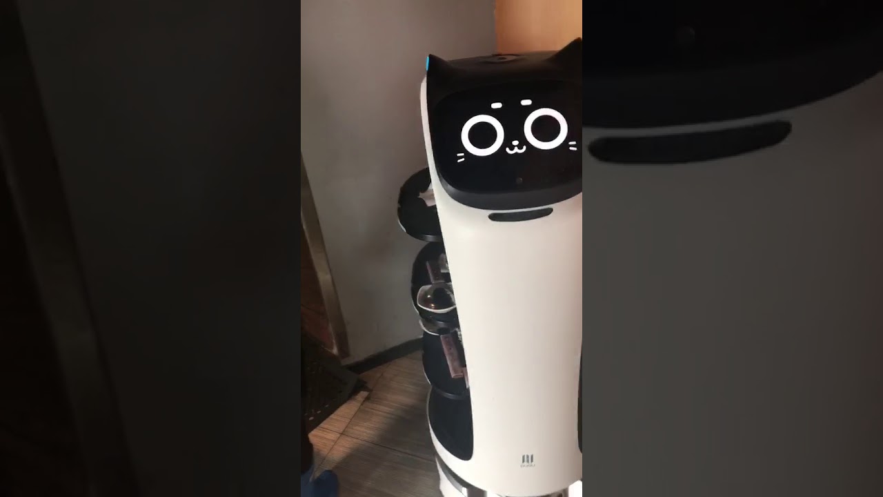 Bellabot (advanced version) work in restaurant, help to delivery food ...