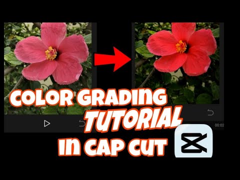 SIMPLE COLOR GRADING IN CAP CUT TUTORIAL #capcut #editingtutorial # ...
