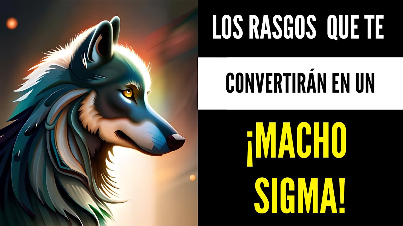 Los PASOS para CONVERTIRTE en un MACHO SIGMA: Descubre el camino a la ...