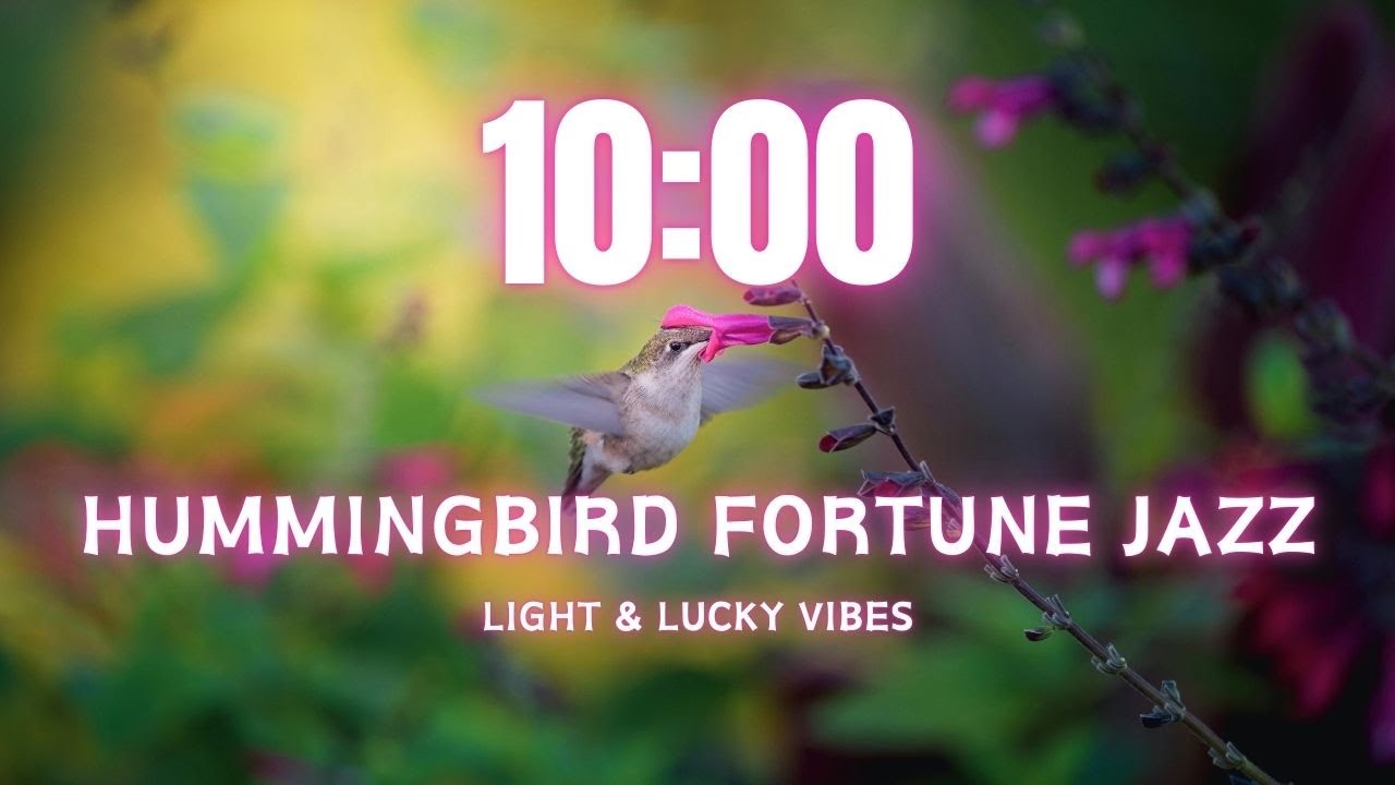 10 Minutes of Hummingbird Fortune Jazz – Light and Lucky vibes🎷🕊️🍀/ハミング ...